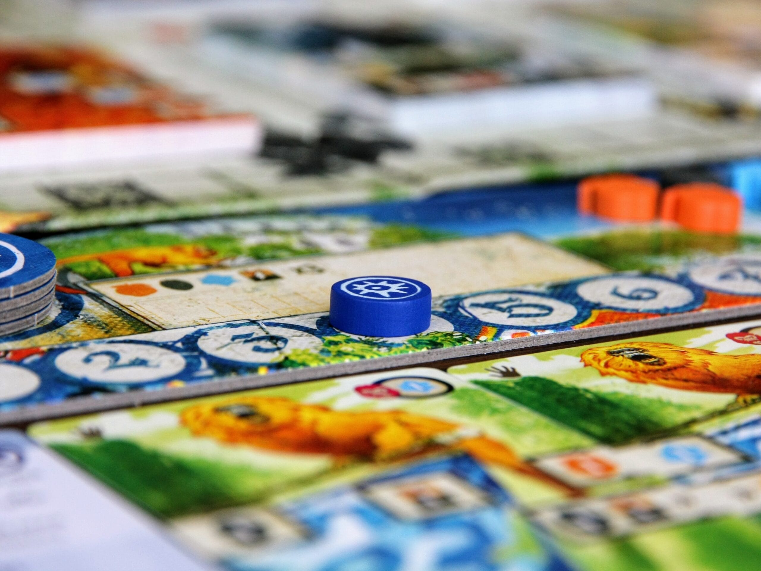 After Us Board Game Review - BoardGameShots