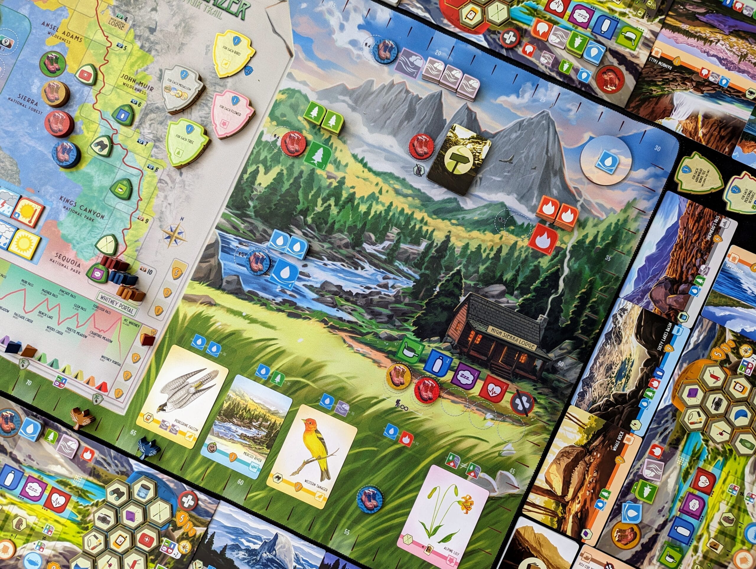 Trailblazer: The John Muir Trail Review - BoardGameShots