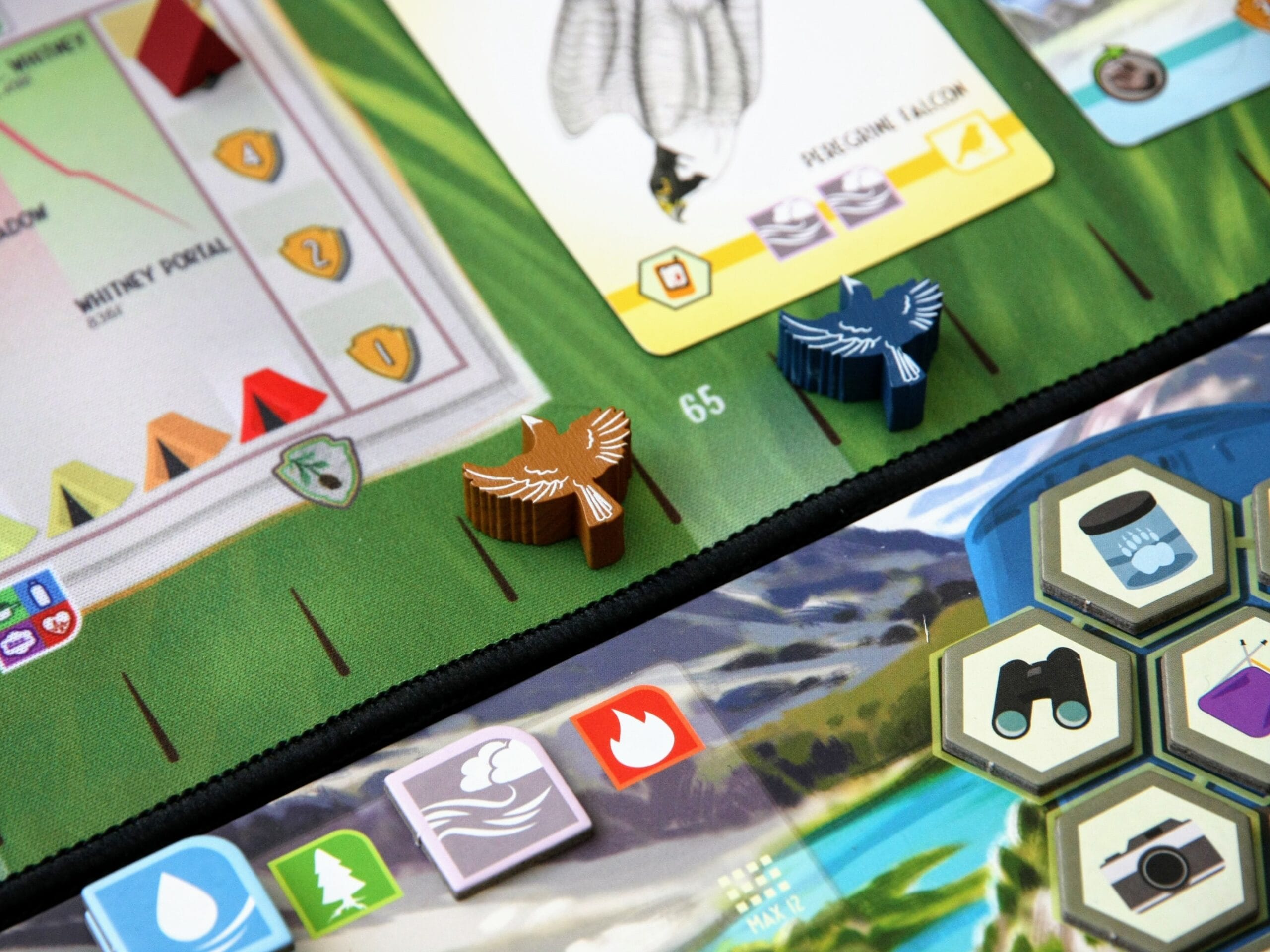 Trailblazer: The John Muir Trail Review - BoardGameShots