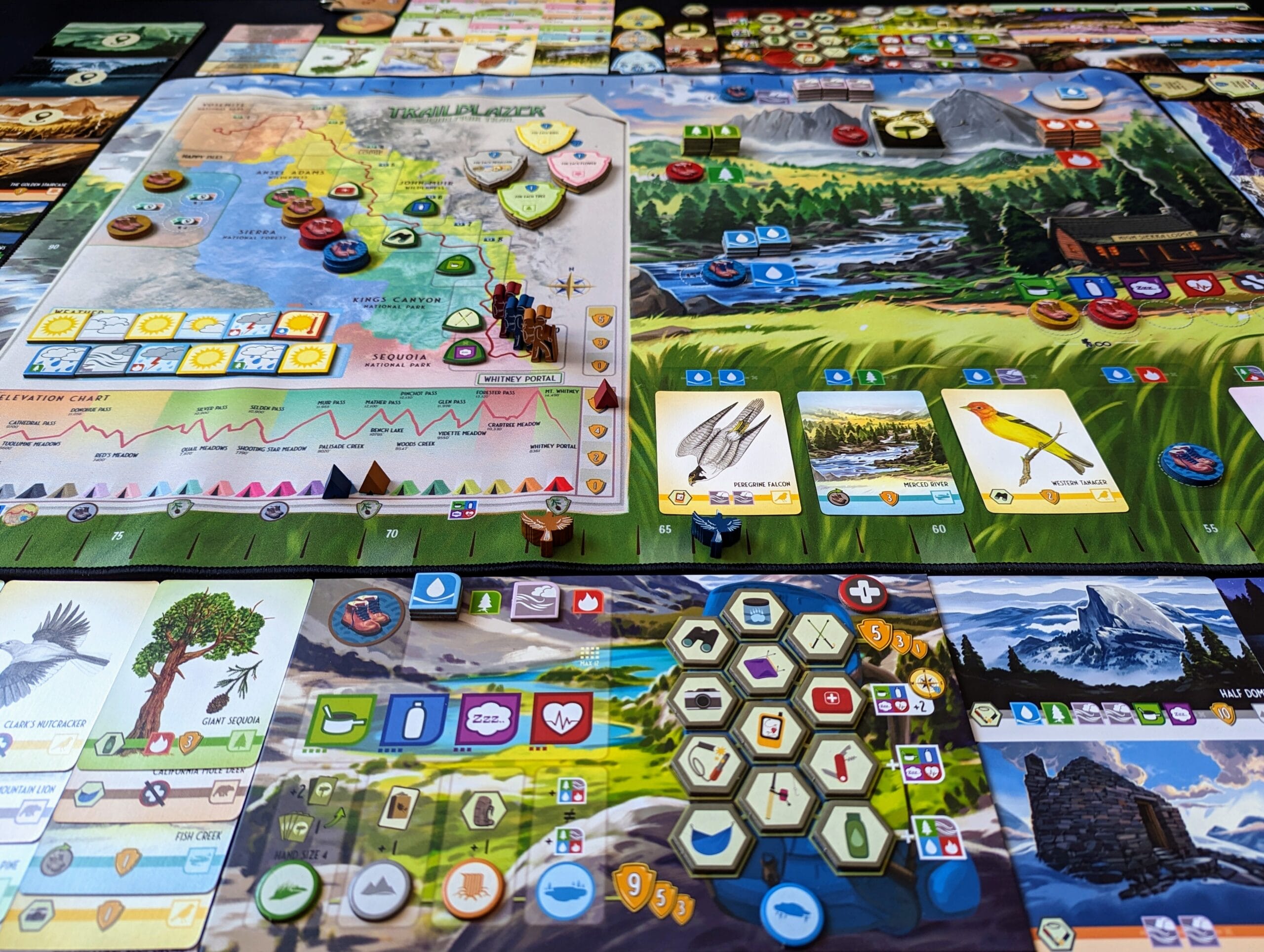 Trailblazer: The John Muir Trail Review - BoardGameShots