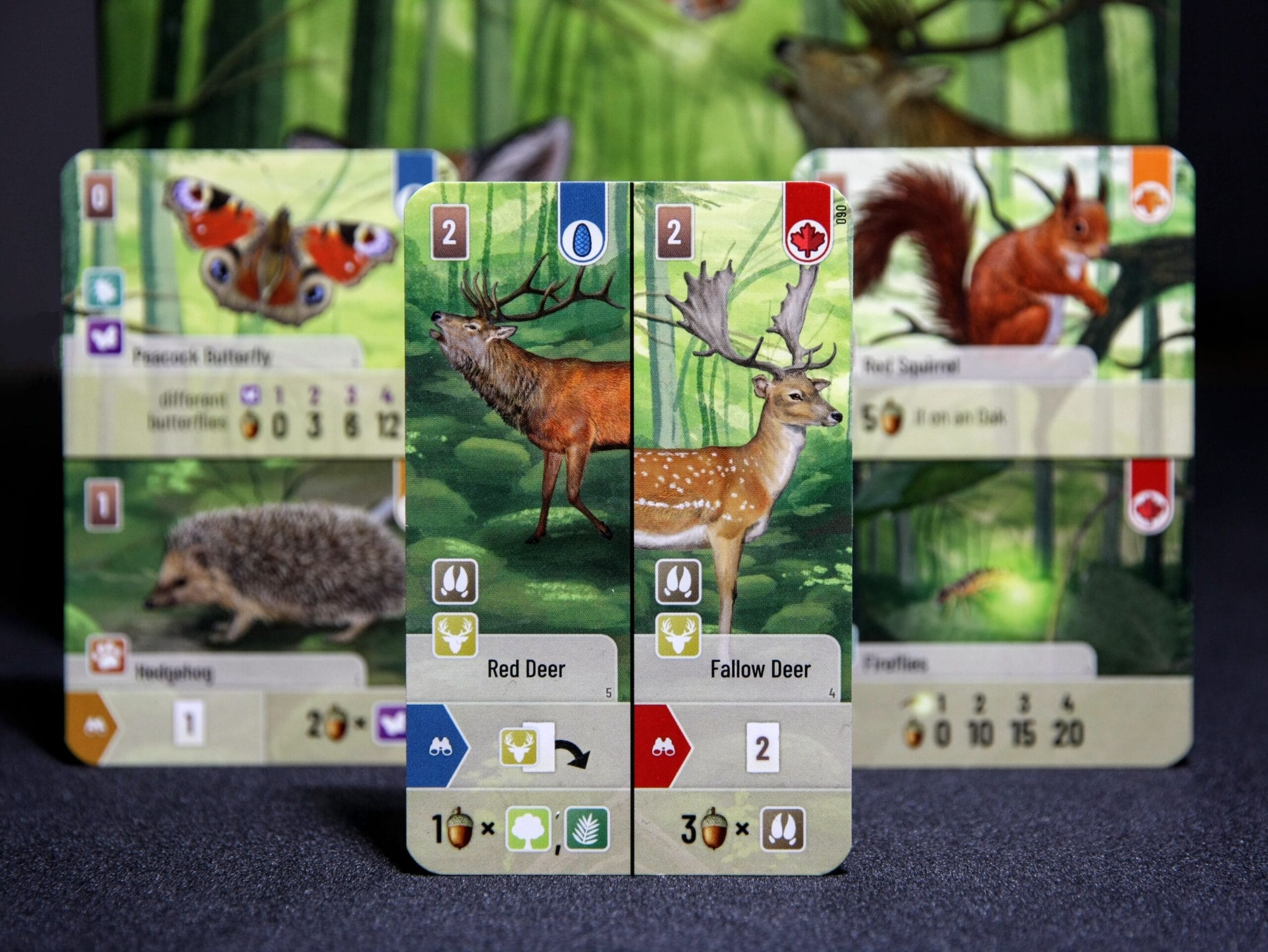 Forest Shuffle Review - BoardGameShots