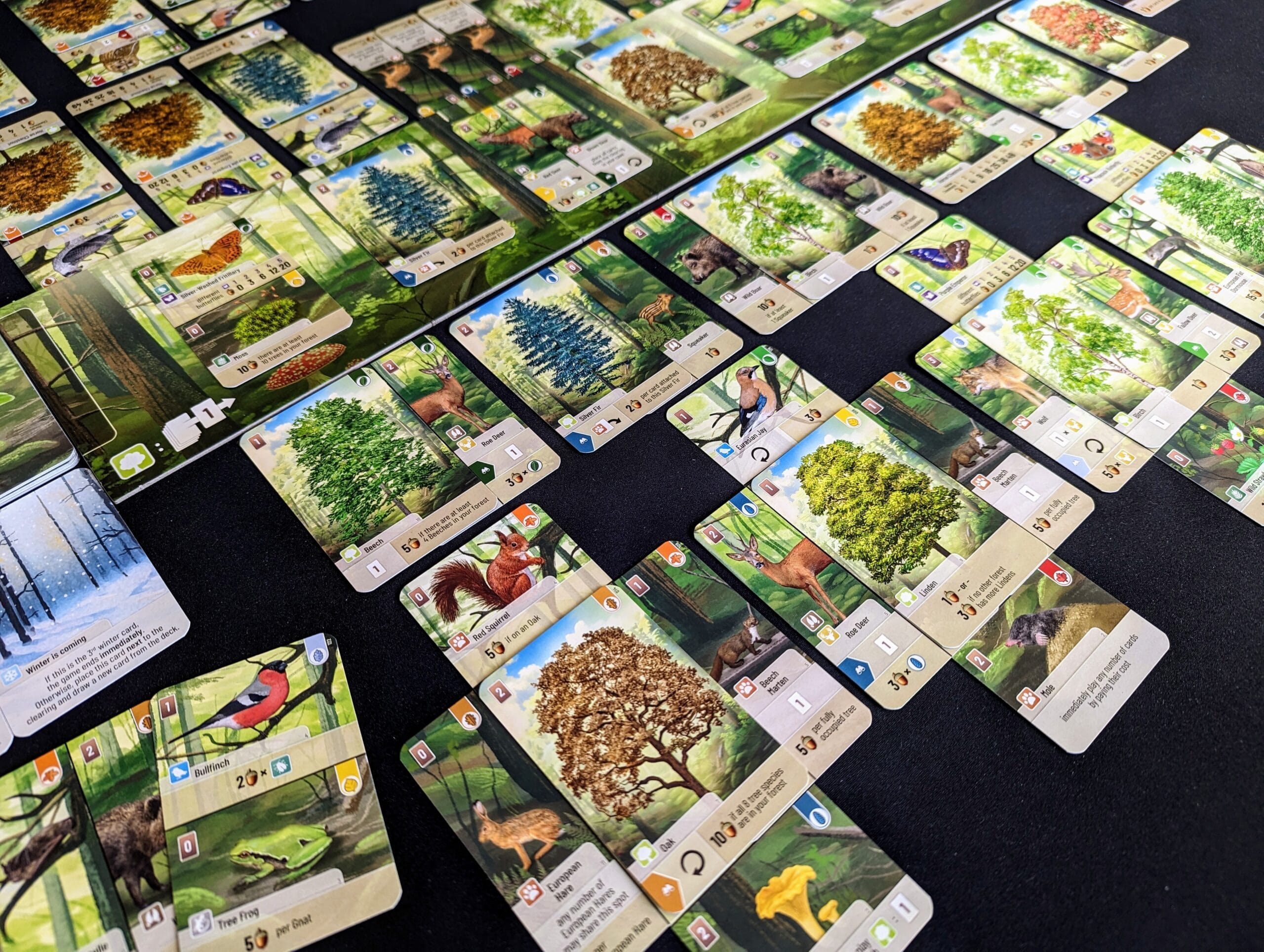 Forest Shuffle Review - BoardGameShots