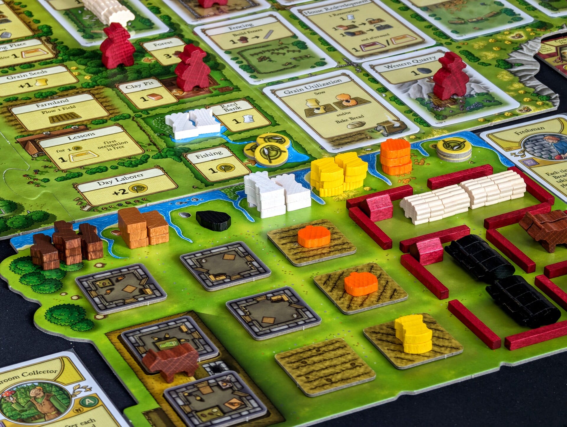 Agricola 15 (Anniversary Edition) Review - BoardGameShots