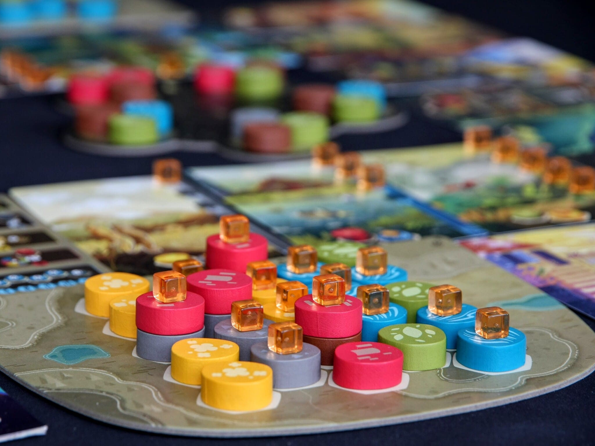 Harmonies Board Game Review - BoardGameShots