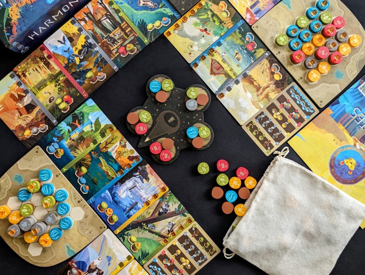 Harmonies Board Game Review - BoardGameShots